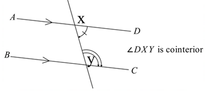 Angles on Parallel Lines - Revision Quiz 1 - Portal